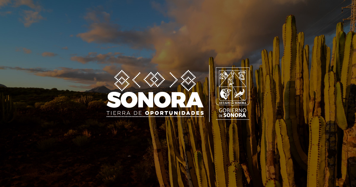 Boletin Oficial del Estado de Sonora - Secretaría de Gobierno del Estado de Sonora